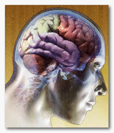 AVC - Acidente Vascular Cerebral, O Derrame | Plugbr.net